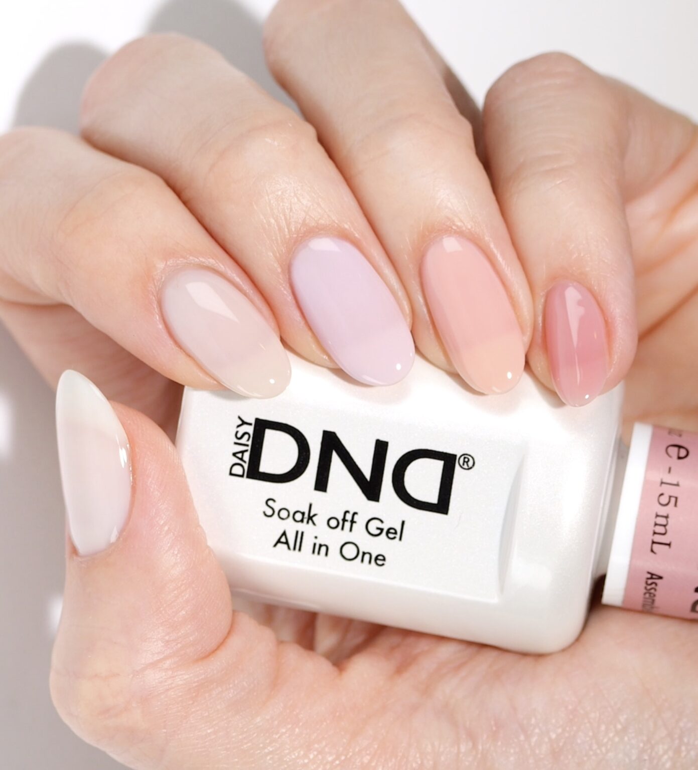 Sheer Collection – 36 Set – DND Gel USA